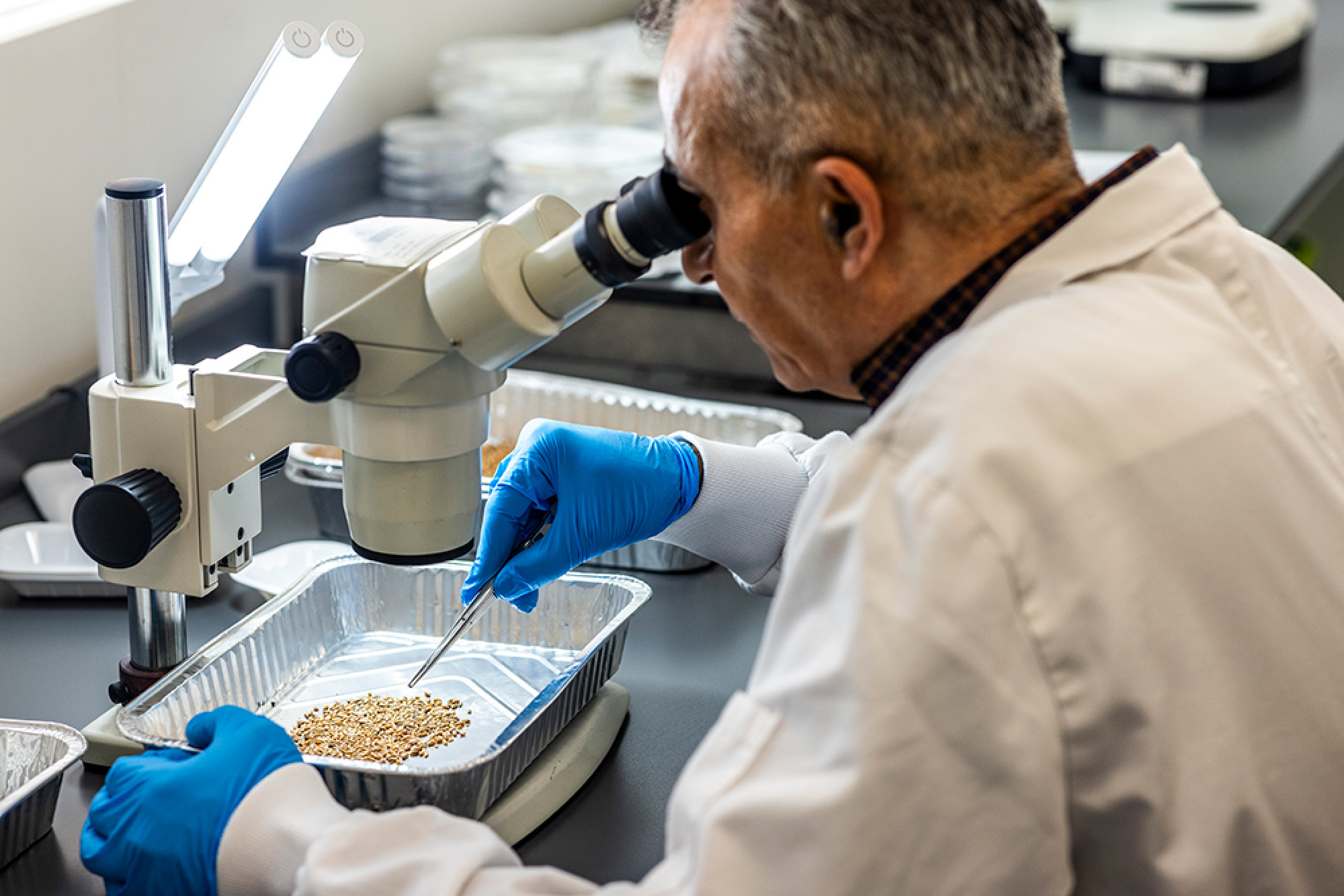 Peterson / Control Union Groep